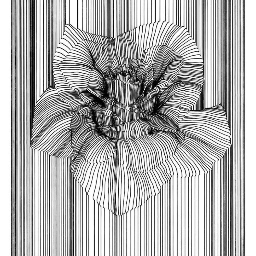 Illustrazioni fatte di sole linee che uniscono realismo e minimalismo ...