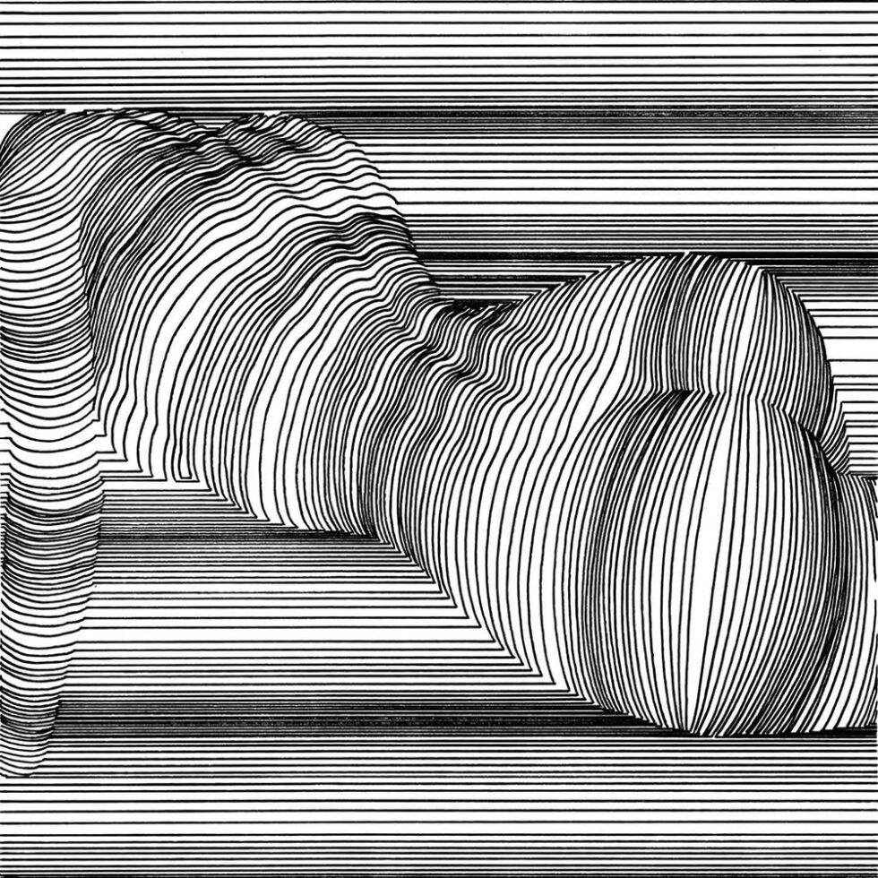Illustrazioni fatte di sole linee che uniscono realismo e minimalismo ...