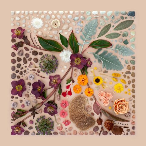 Kristen Meyer è straordinariamente brava nel mettere le cose in ordine ...