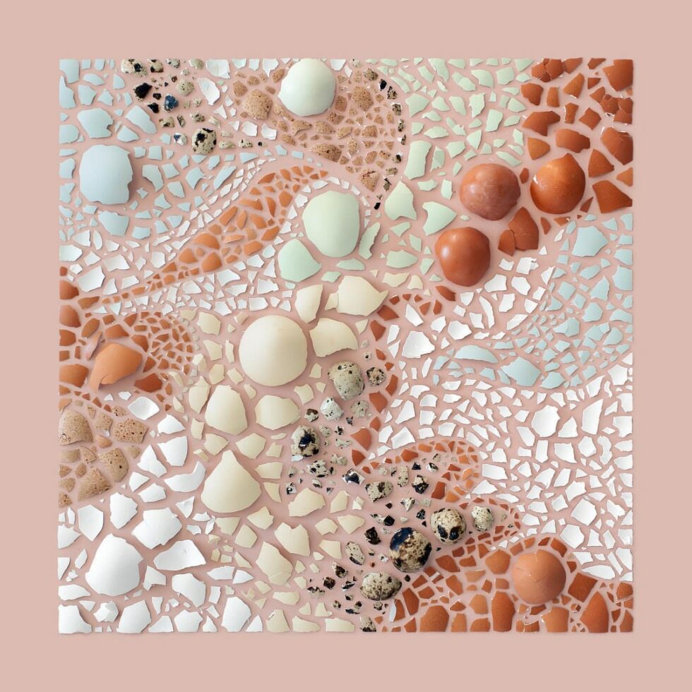 Kristen Meyer è straordinariamente brava nel mettere le cose in ordine ...