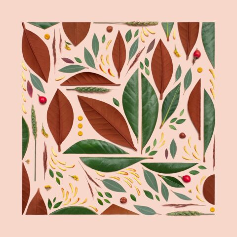 Kristen Meyer è straordinariamente brava nel mettere le cose in ordine ...