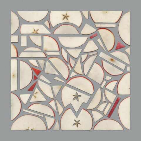 Kristen Meyer è straordinariamente brava nel mettere le cose in ordine ...