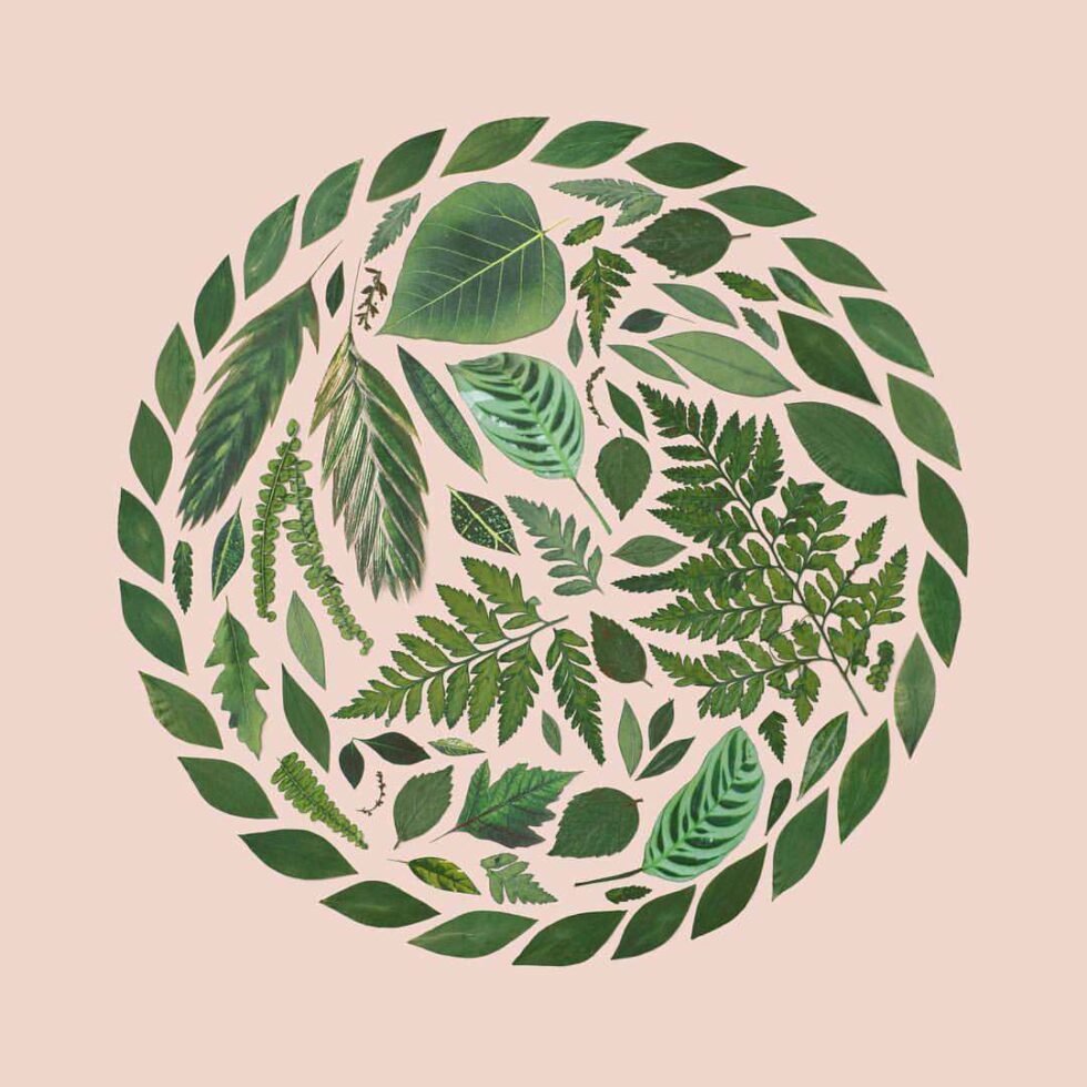 Kristen Meyer è straordinariamente brava nel mettere le cose in ordine ...