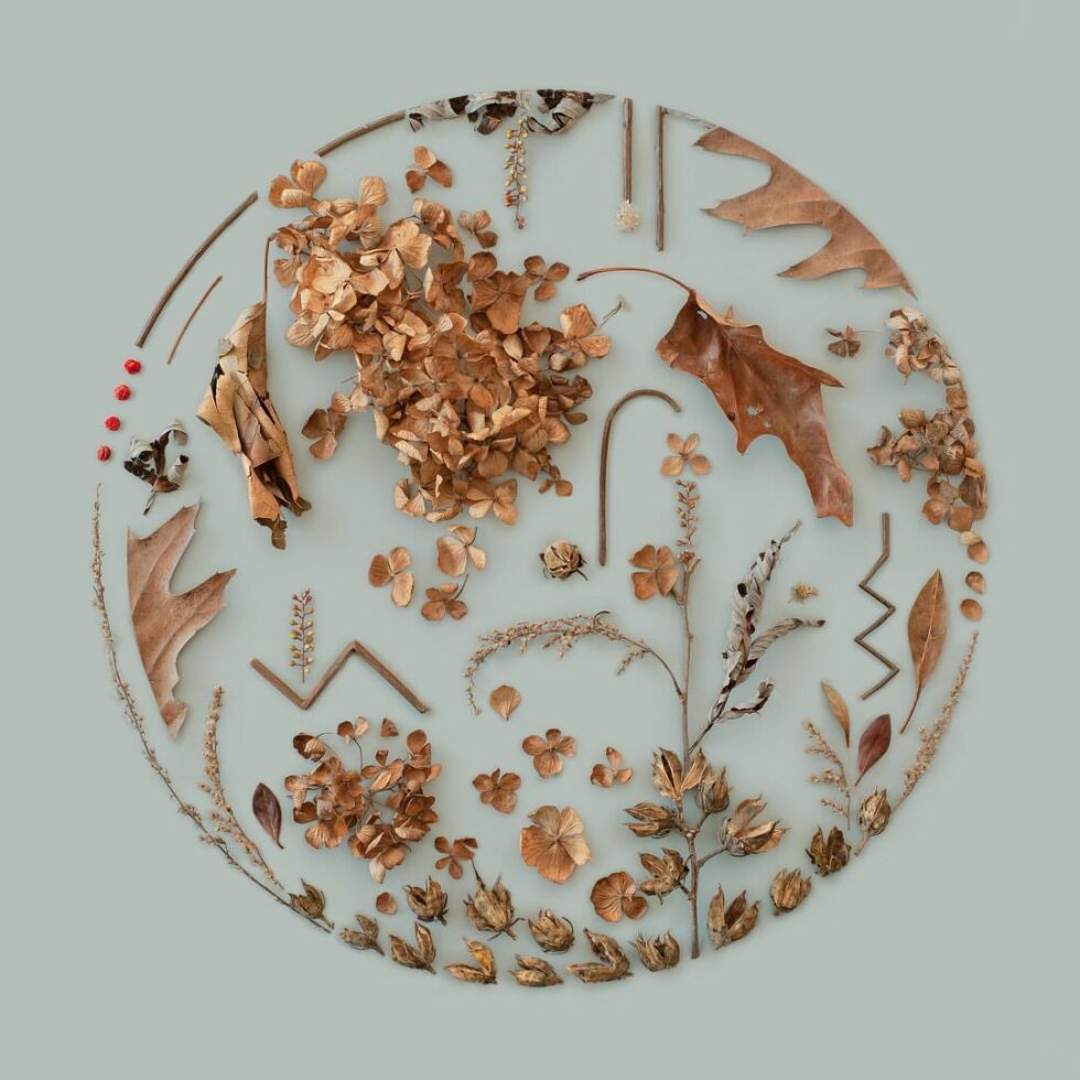 Kristen Meyer è straordinariamente brava nel mettere le cose in ordine ...