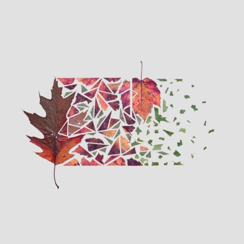 Kristen Meyer è straordinariamente brava nel mettere le cose in ordine ...