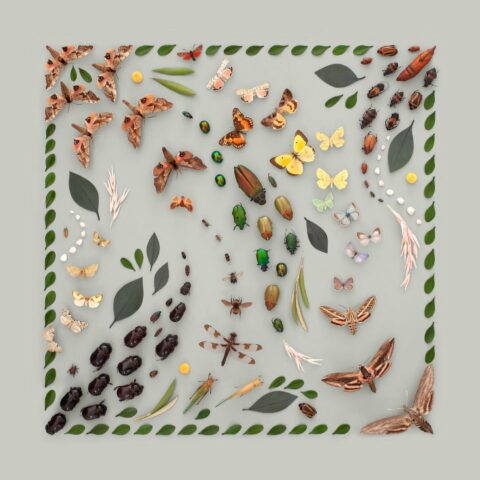 Kristen Meyer è straordinariamente brava nel mettere le cose in ordine ...