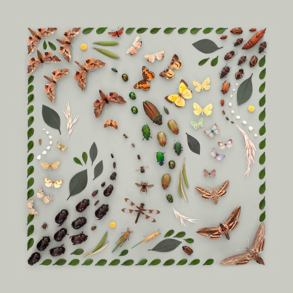 Kristen Meyer è straordinariamente brava nel mettere le cose in ordine ...