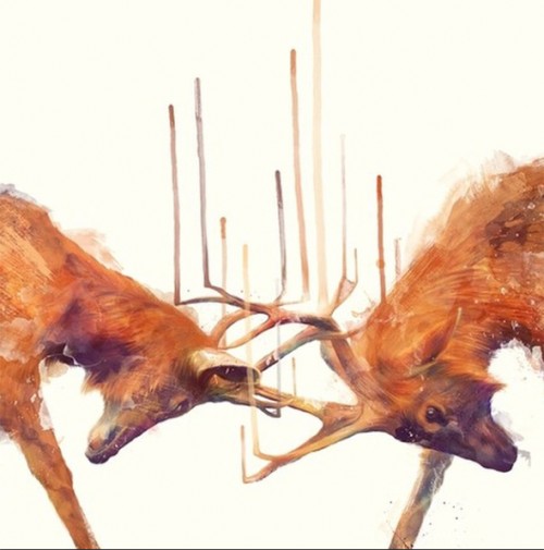 Into the wild: gli animali selvaggi di Amy Hamilton - Picame