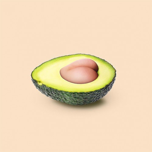 Dot Pigeon, il volatile più irriverente del web - Picame